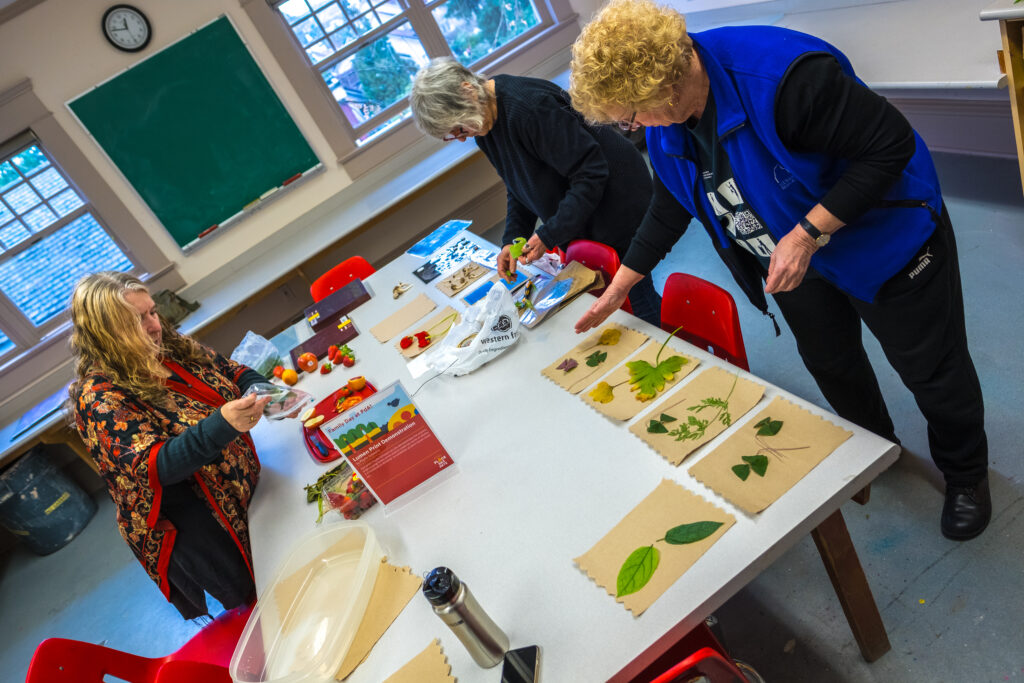 Creative Connections - Place des Arts